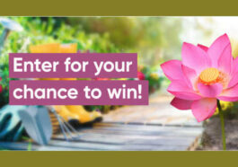 Lowe`s Contest: Win a $500 gift card & a lifetime PlantIn subscription!